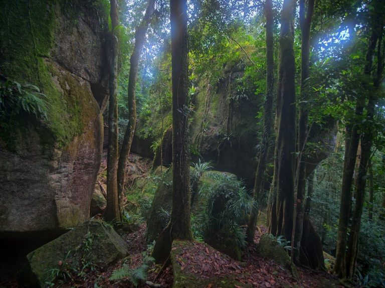 Paluma – our village in the mist